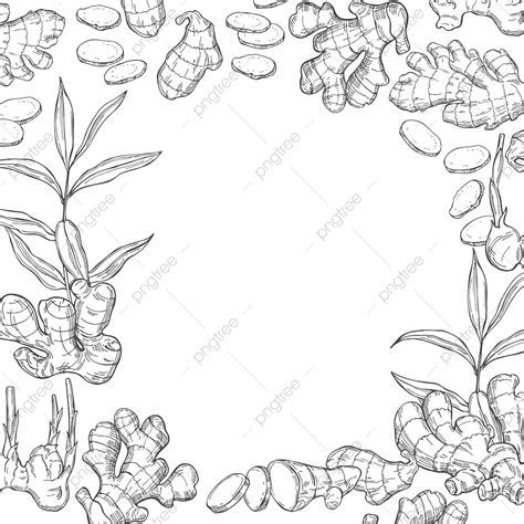 Hand Drawn Hands Vector Hd Images Vector Background With Hand Drawn Ginger Illustration