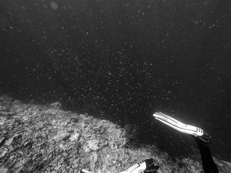 Page 4 12 000 Underwater Metal Detector Pictures