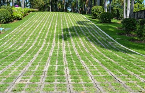 Premium Photo Grass Growing In Garden