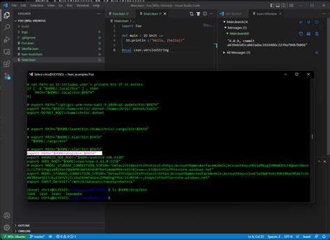 Server Doesn T Start Without Elan Issue 164 Leanprover Vscode Lean4 GitHub