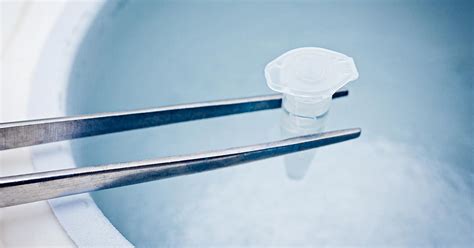 Egg Freezing In Singapore Health365sg