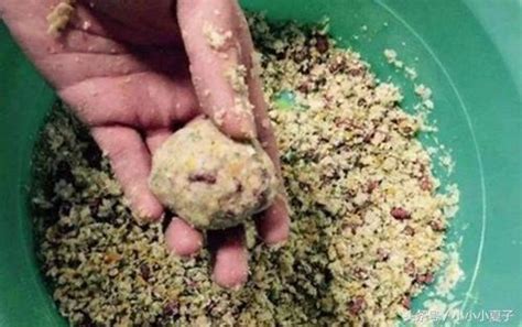 夏天釣魚可以試試這幾款商品餌料配方也許會有意想不到的收穫 每日頭條