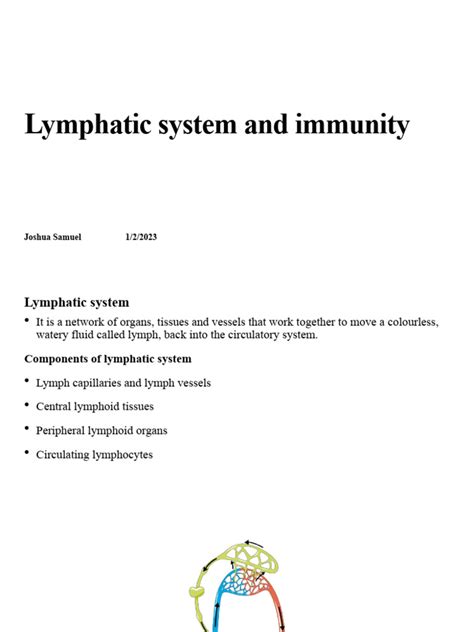 Lymphatic System And Immunity Pdf Lymphatic System Immune System
