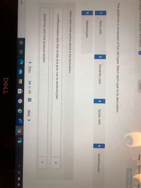 Solved E Integumenildly System Homewor 1 Saved Help Save Chegg