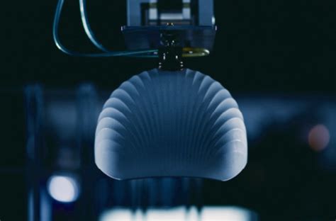 ‘shellmets Safety Gear That Give Scallop Shells A Second Lease Of