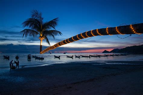 Top 999 Palm Tree Sunset Wallpaper Full Hd 4k Free To Use
