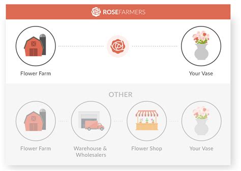 Farm To Vase Sustainability Rose Farmers