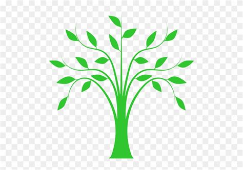 Percussion Mallets Nature Percussion Mallets Nature Free