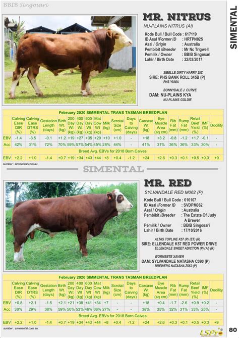 Semen Beku Sexing Sapi Simmental Sifoya Bbib Singosari