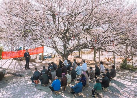 江苏泗洪杏福有约 暖民心 人民图片网