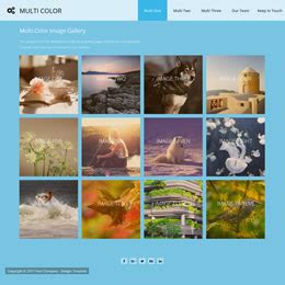 Meteor HTML Template By Tooplate