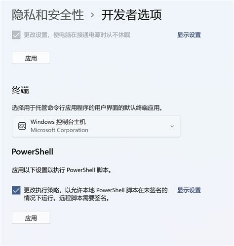 Windows 11开机终端弹窗netsh Exe Microsoft Community