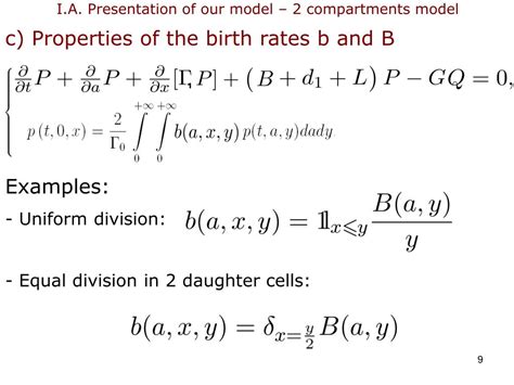 Ppt A Population Model Structured By Age And Molecular Content Of The Cells Powerpoint