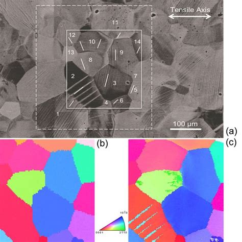 Pdf Quantitative Atomic Force Microscopy Characterization And Crystal Plasticity Finite