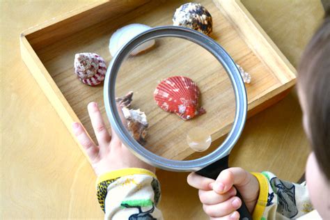 Five Minute Montessori Go Get A Magnifying Glass How We Montessori