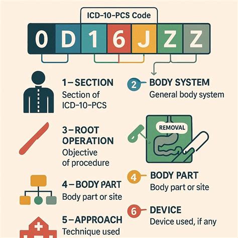 The Complete Guide To Icd 10 Pcs Code For Mitral Valve Replacement Wmwtl