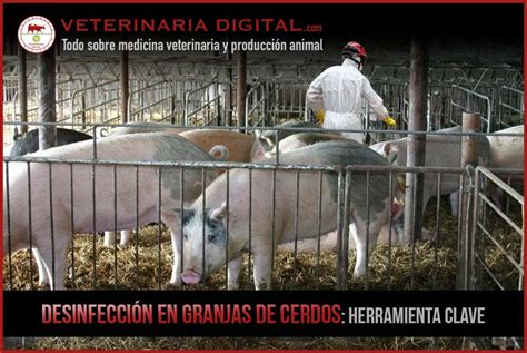 Veterinaria Digital Avicultura Porcicultura Rumiantes Y Acuicultura
