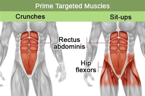 Targeted Muscles Sit Up Vs Crunch Crunches Crunches Workout