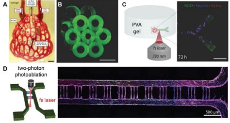 Light Based 3d Printing Technologies And Applications A Download Scientific Diagram