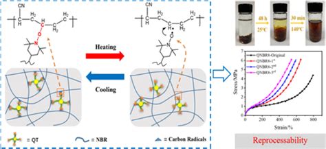 Reprocessable Nitrile Rubber Enabled By Thermoreversible Alkoxyamine Cross Linked Networks