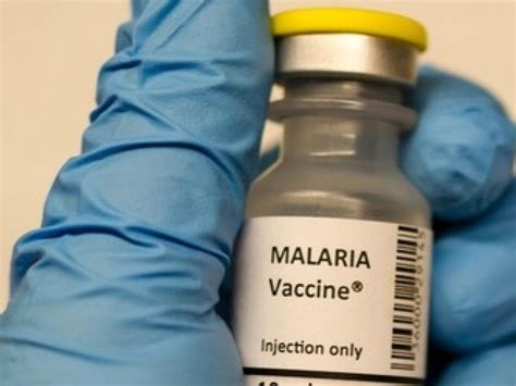 La Oms Aprueba La Primera Vacuna Contra La Malaria La Jornada