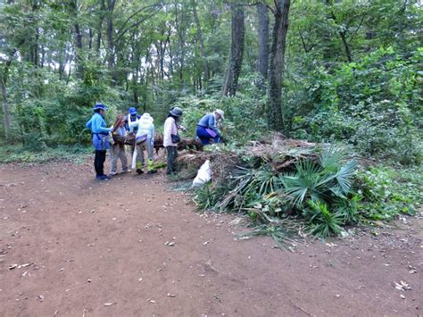 日本山岳会東京多摩支部 野火止保全活動プロジェクトチーム 東京の自然にタッチ 里山へGO