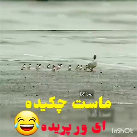 دوبله بسیار زیبا و خنده دار اردک دوبله اردکی