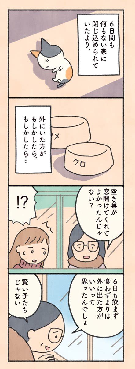 もしもなんて来ないと思ってた猫」第86話 目を覚ました飼い主の凛。猫たちの安否がわからぬまま、家は空き巣に荒らさ」オキエイコもしも猫の漫画