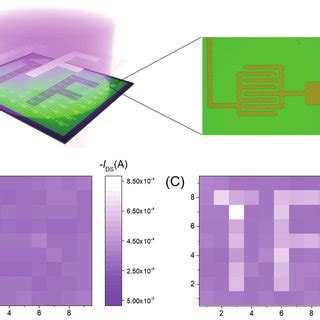A Schematic Illustration Of The Photodetector Array And Typical Device Download Scientific