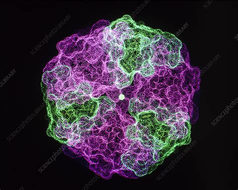 Molecular Graphics Of Insulin Hexamer Stock Image A619 0015 Science Photo Library
