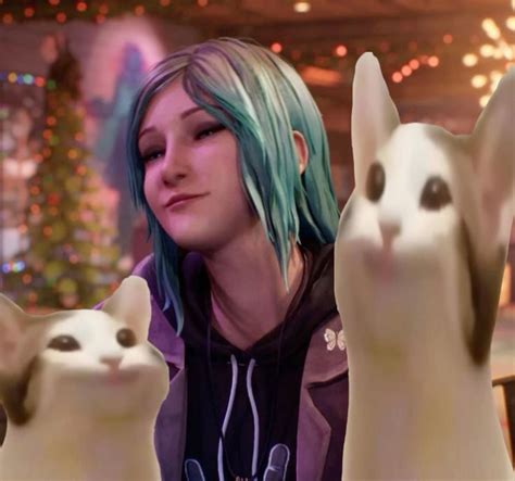 Chloe Cat 2025