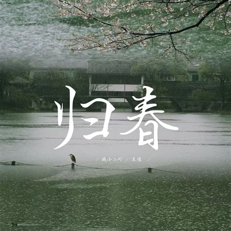 ‎《归春 Single》 战小二吖 And 王佳的专辑 Apple Music