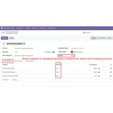 Efficient Multi Branch Management For Odoo Manufacturing