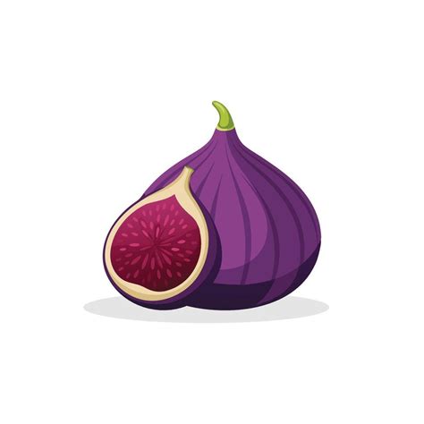 Figs Fruit Isolated Flat Illustration On White Background 53451524