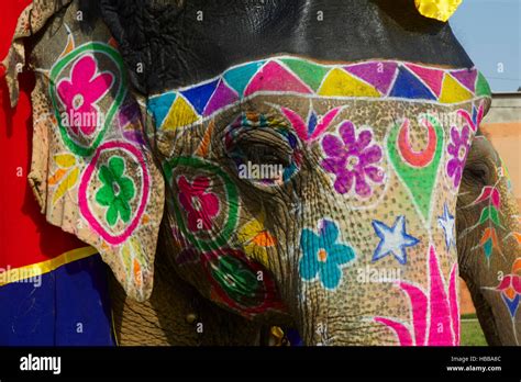 Inde Rajasthan Jaipur Le Festival Des Elephants Qui Se Deroule Lors