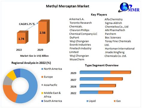Methyl Mercaptan Market Applications In Chemical Synthesis