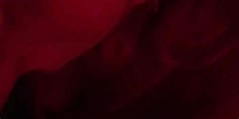 Koreankutie Olive Blowjob