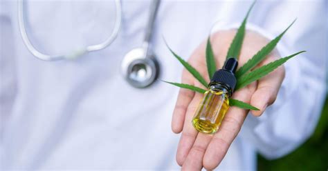 Uso Del Cannabis Con Fines Terapéuticos