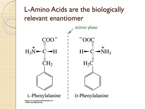 PPT Chapter 3 Amino Acids Peptides Proteins PowerPoint