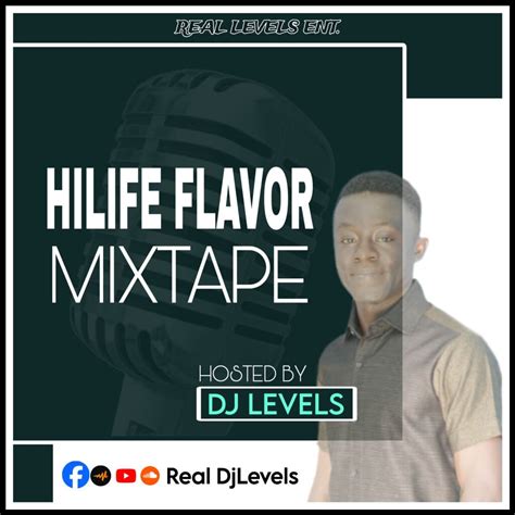 Real Djlevels Hilife Flavor Mixtape 2023 Beatz Nation