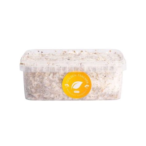 Buy Legal Psychedelics Online Primal Focus