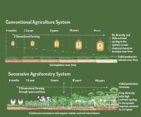 Working With Nature Introducing Syntropic Agroforestry To St Eustatius Iucn Nl
