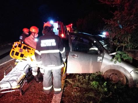 Depois De Atropelar Capivara Carro Sai Da Pista E Colide Em árvore