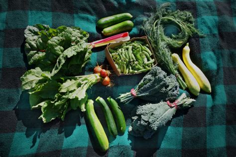 Week 4 2017 Csa Season Kyle Thom