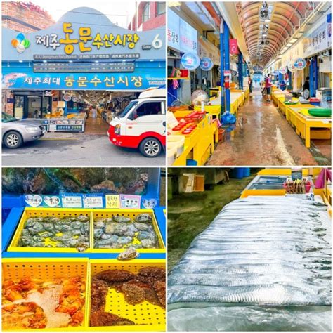 제주공항근처 볼거리 제주도 동문 수산시장 재래시장 가볼만한곳 네이버 블로그
