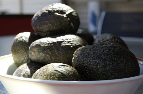 Simple Hack To Tell If An Avocado Is Ripe Or Bad