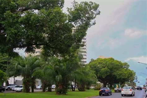 População pode dar sugestões para revisão de lei ambiental a partir desta terça Meio Ambiente