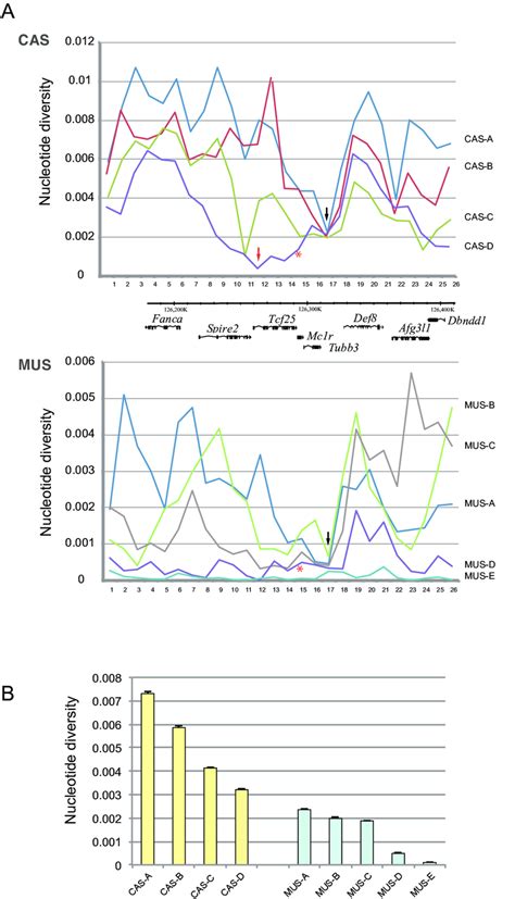 Nucleotide Diversity π Across The 250 Kb Region Containing Mc1r And Download Scientific