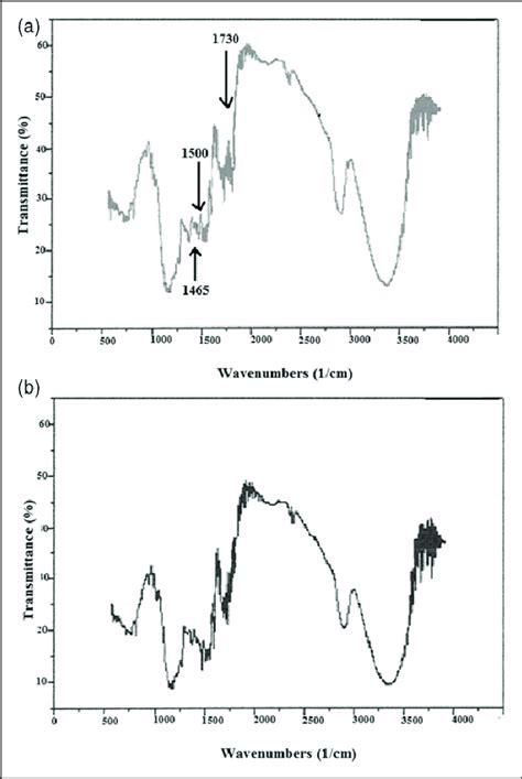 Fourier Transform Infrared Absorption Spectra Of A Untreated And B