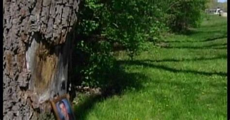 Verona Man Sentenced In Fatal Drunken Driving Crash Local News
